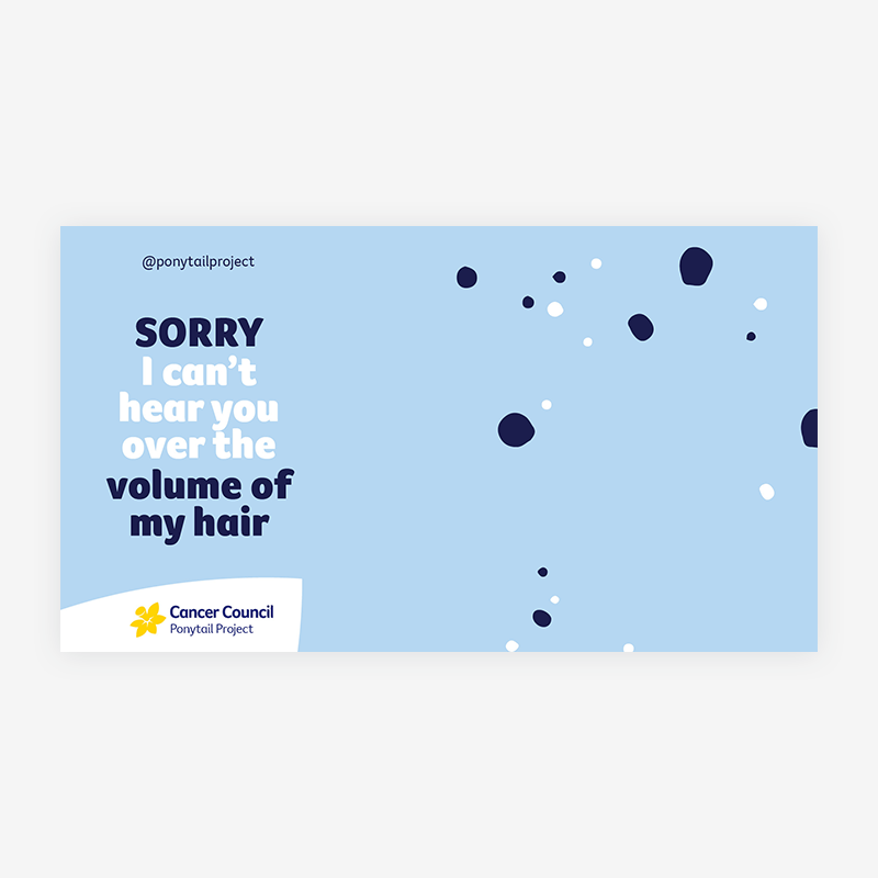 Ponytail Project : Resources